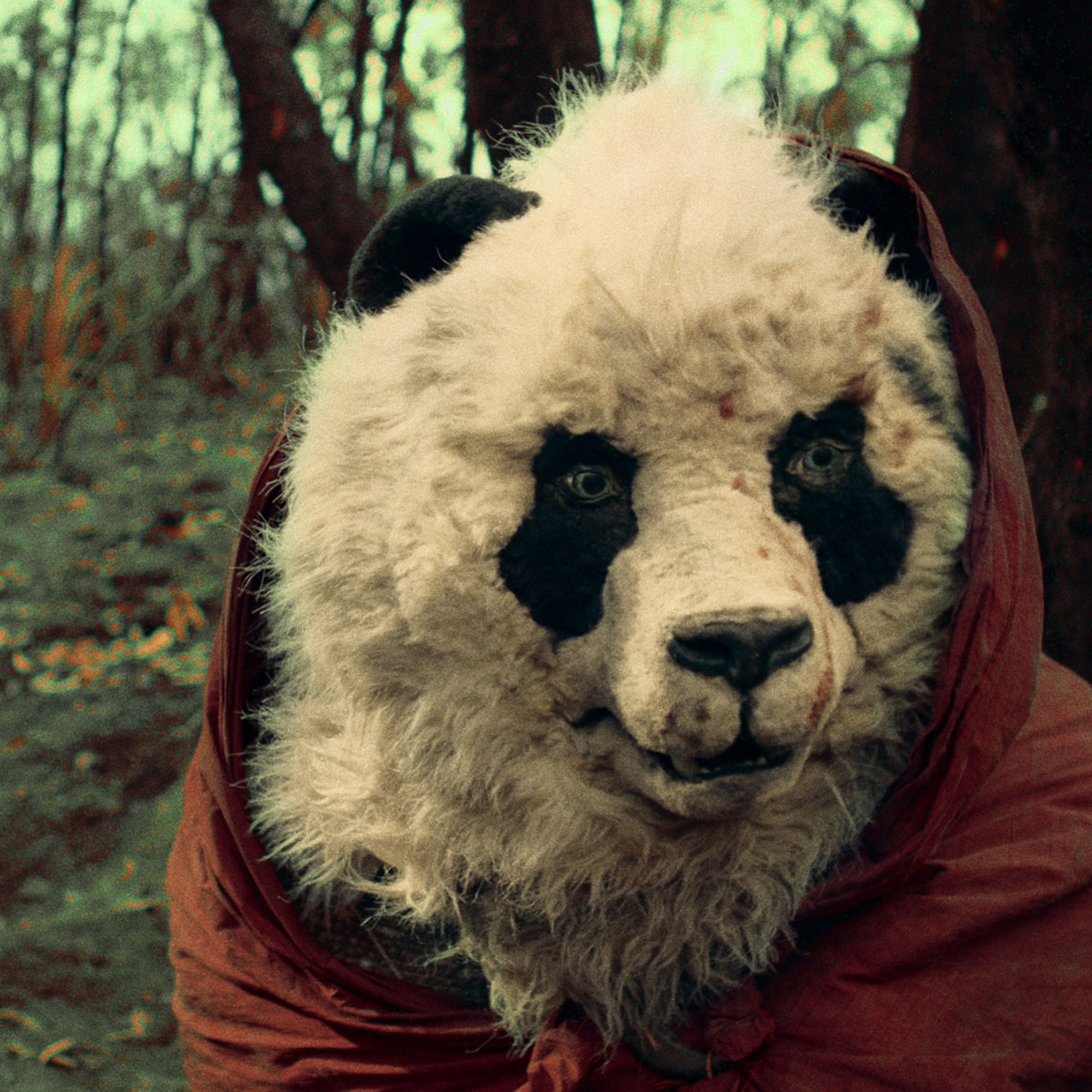 Screen Australia: Celebrating Australian Stories