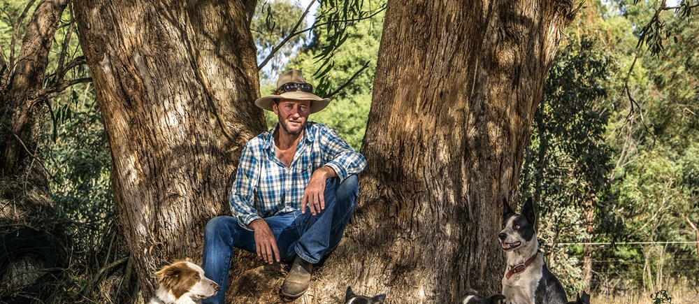 Backtrack Boys (2018) - The Screen Guide - Screen Australia