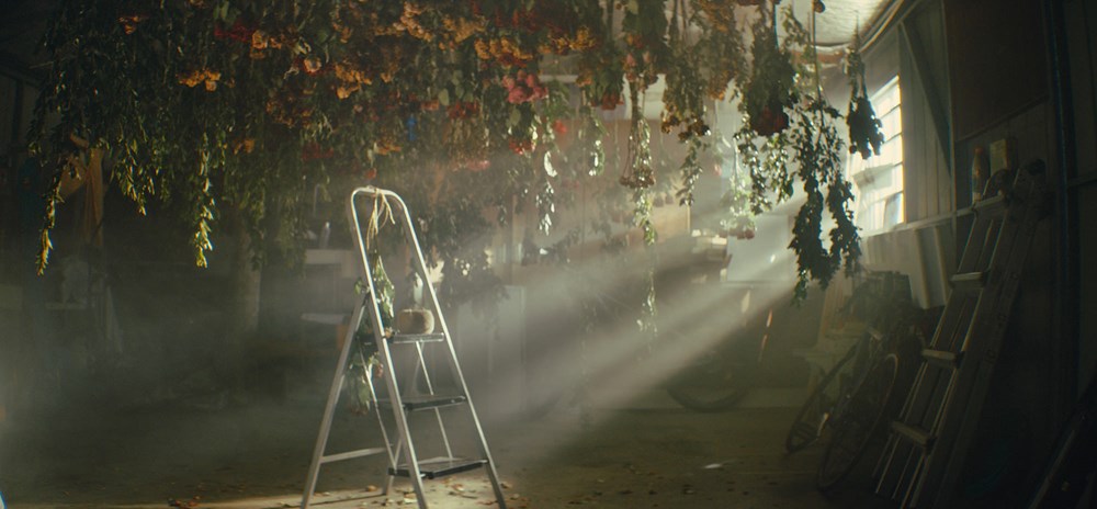 The Wilted Rose (2023) - The Screen Guide - Screen Australia