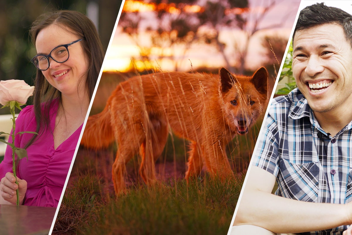 Documentary at Screen Australia – Screen News – Screen Australia