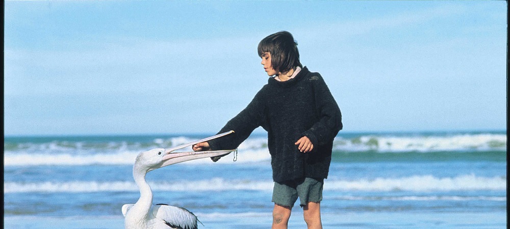 Storm Boy (1976) - The Screen Guide - Screen Australia