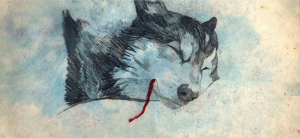 The Web (1993 - 1995) - The Screen Guide - Screen Australia