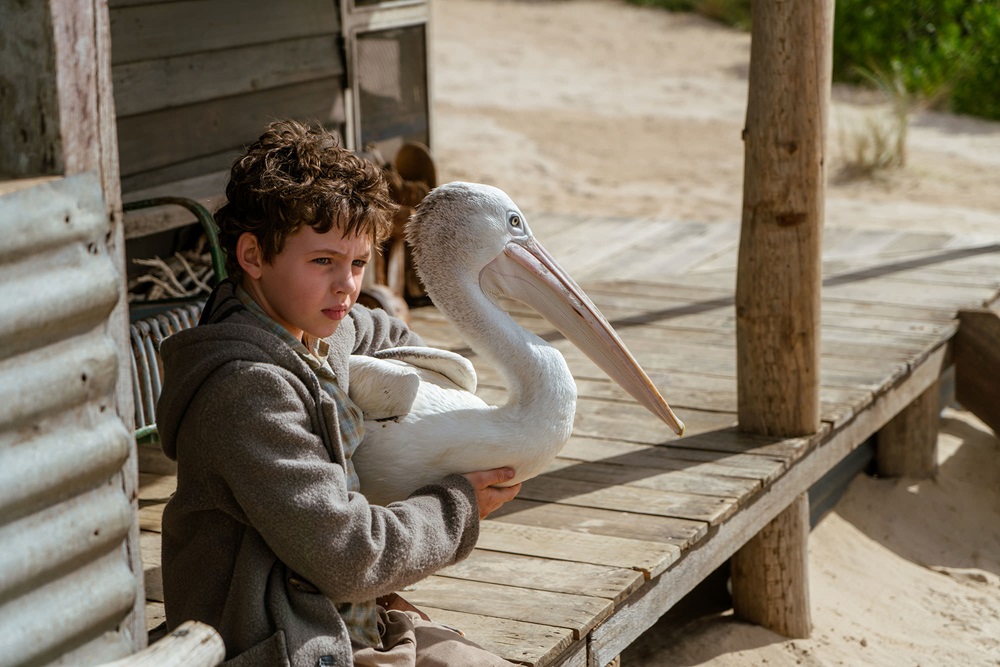Storm Boy (2019) - The Screen Guide - Screen Australia