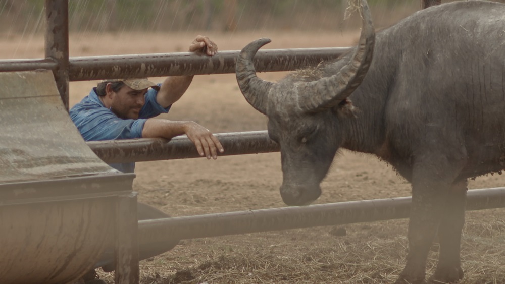 Gun Ringer (2017) - The Screen Guide - Screen Australia