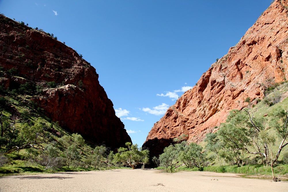 Wild Australia (2013) - The Screen Guide - Screen Australia