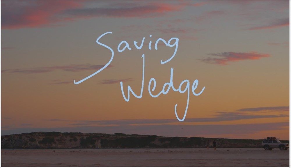 Saving Wedge (2022) - The Screen Guide - Screen Australia