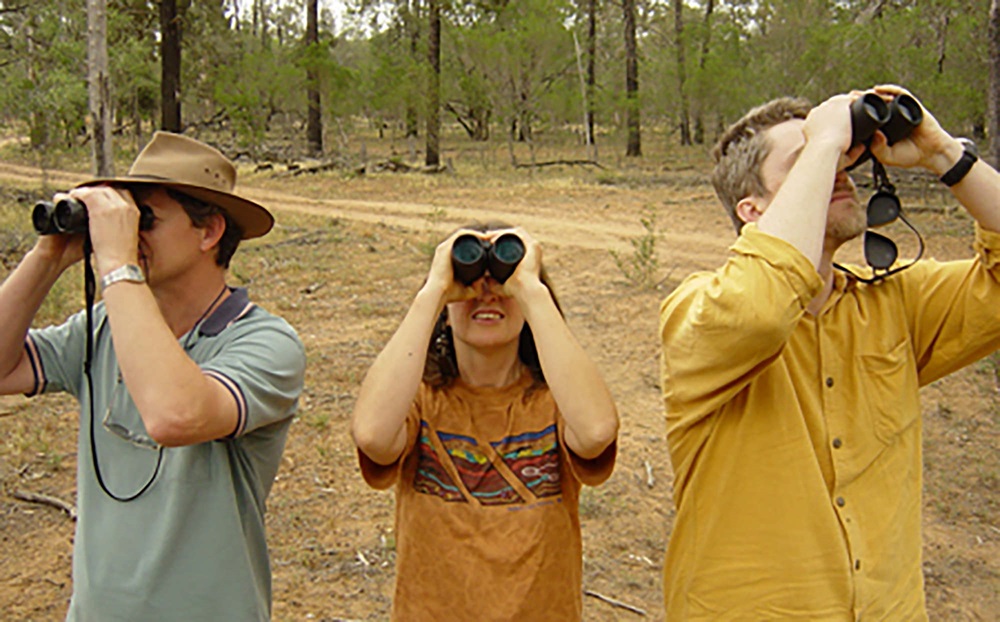 Chasing Birds (2008) - The Screen Guide - Screen Australia